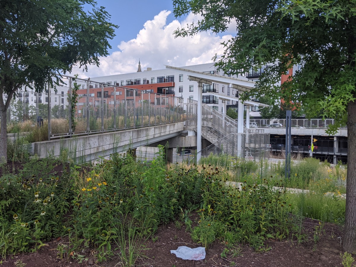 Best Bridge – Bridge Madness 2024 | urbantraipsing